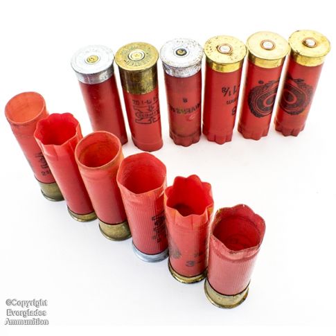 Fired Shotgun Shells LOT OF PINFIRE SHOTGUN CARTRIDGES — Horse